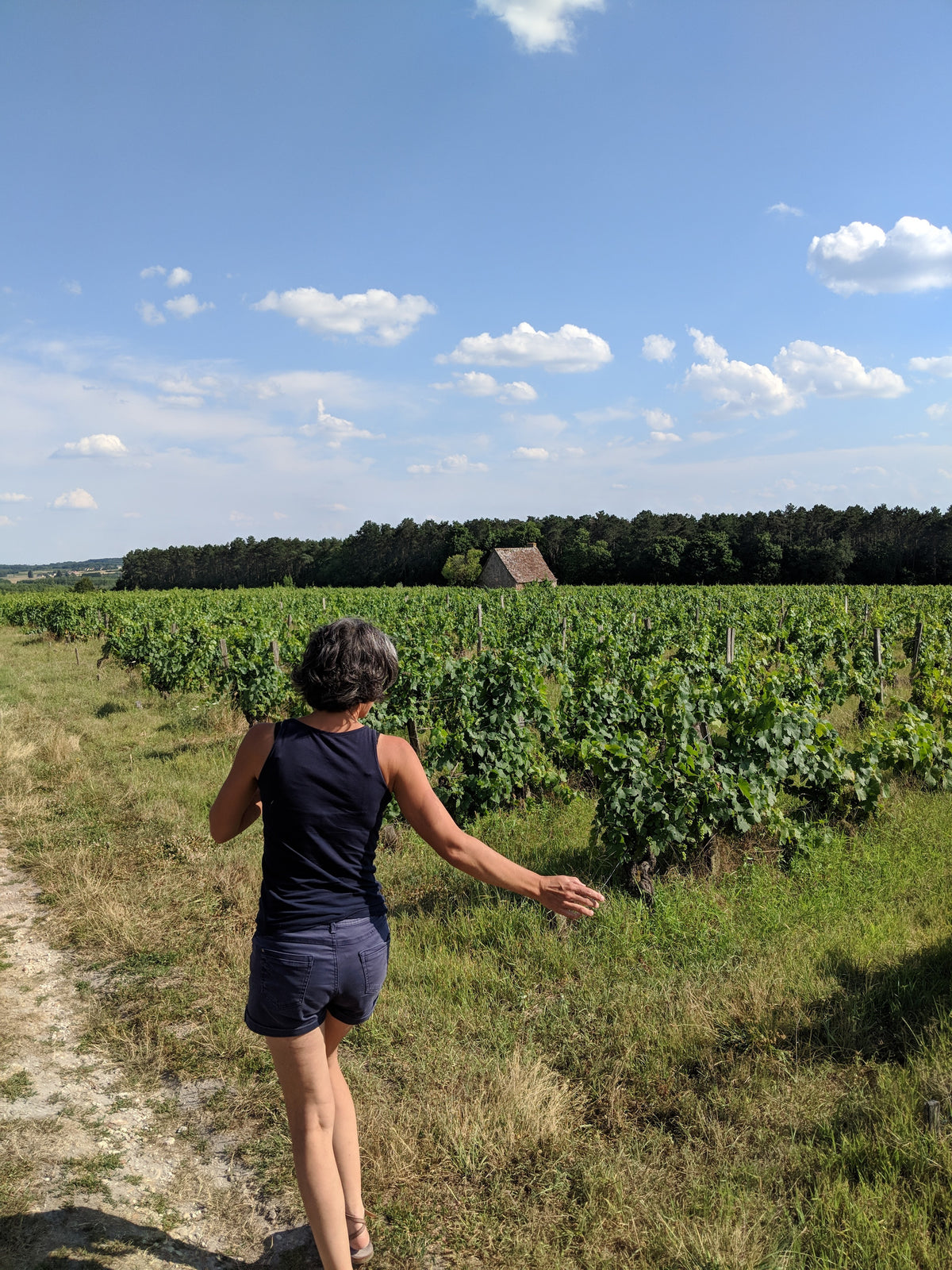 Marie Thibault – Domestique Wine