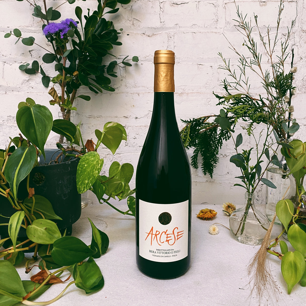Vino Bianco 'Arcese' 2021 – Domestique Wine